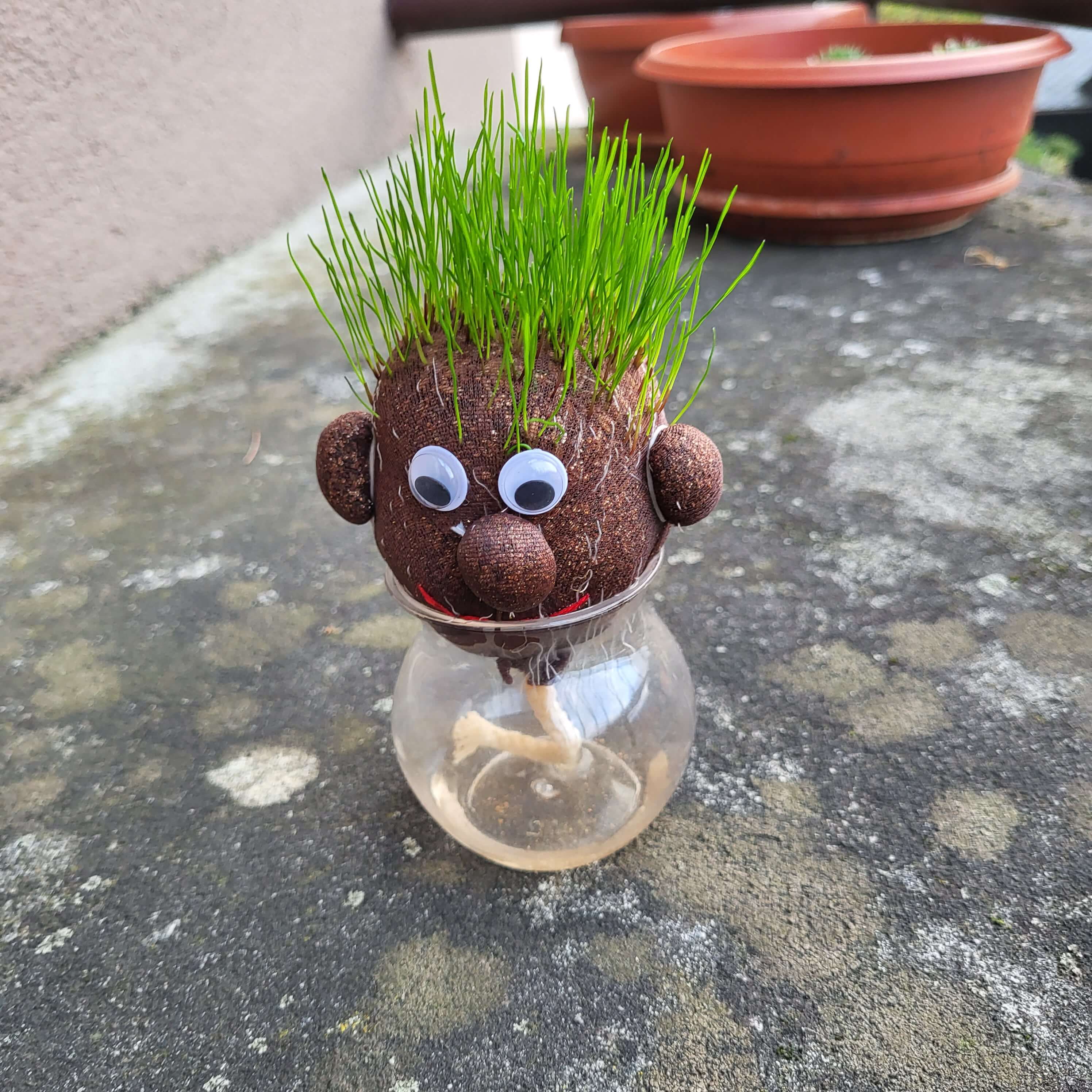 Mr. Green's grass head – Gardenshop.hr
